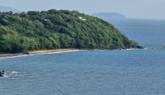 Discover Mission Beach - Restaurants, Bars and Attractions