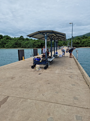 Discover Mission Beach - Restaurants, Bars and Attractions